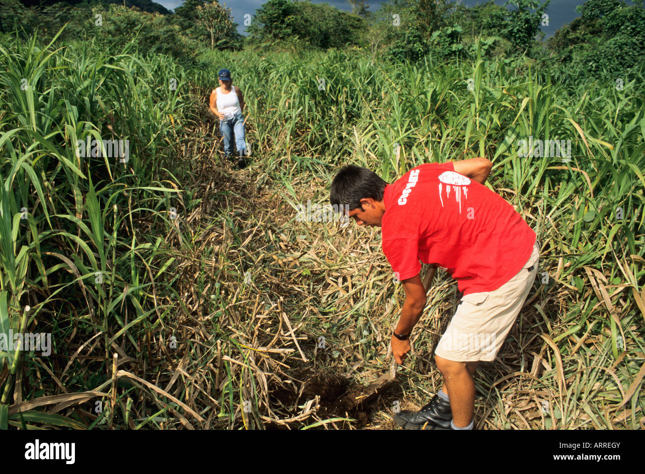 Costa Rican and US kids working on reforestation project, Costa Rica ...
