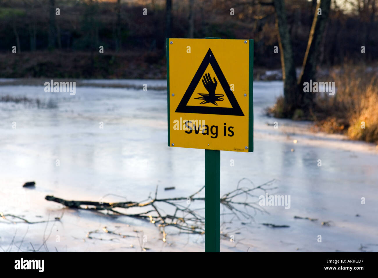 Weak ice hi-res stock photography and images - Alamy