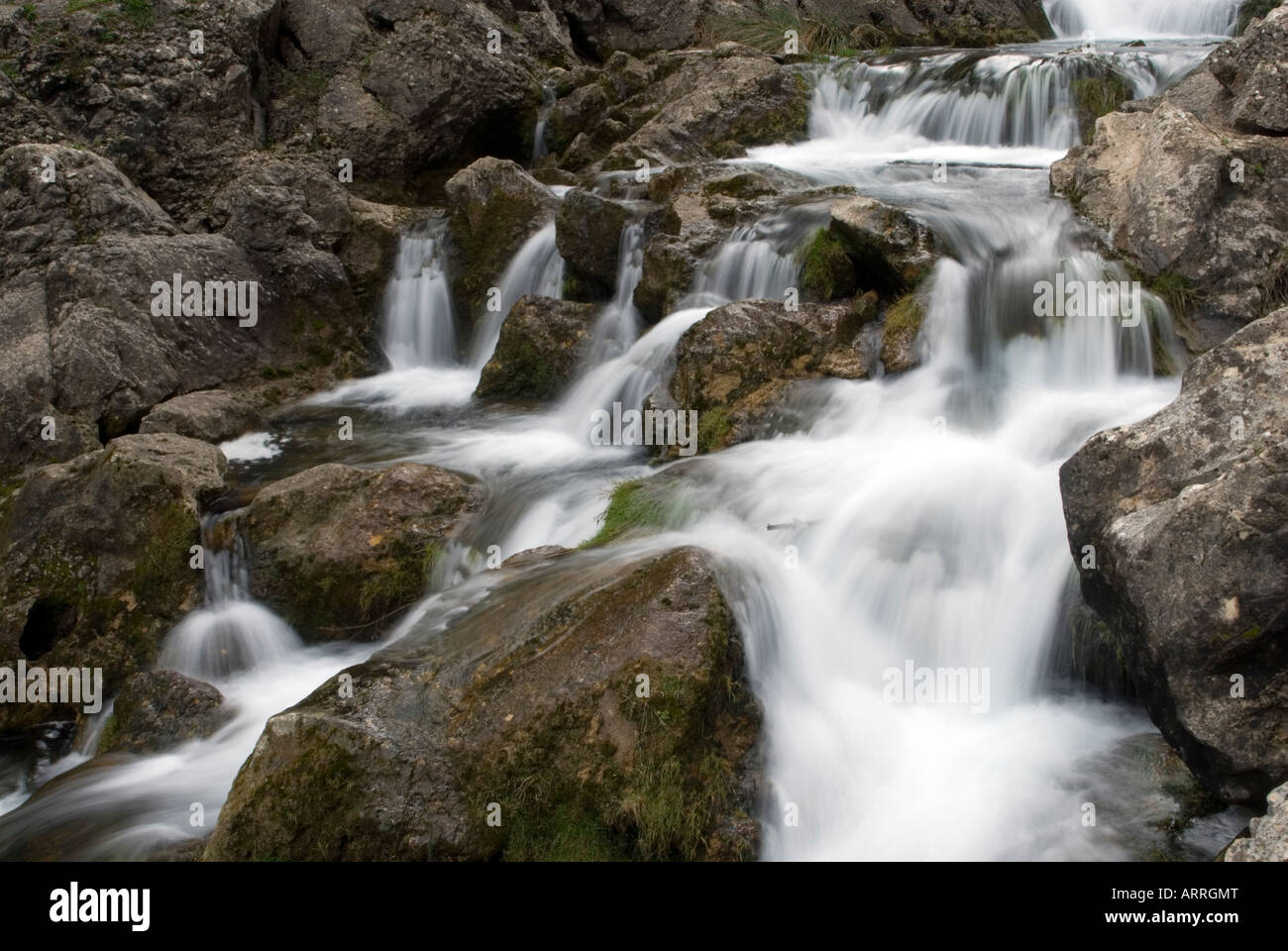 El ecosistema hi-res stock photography and images - Alamy