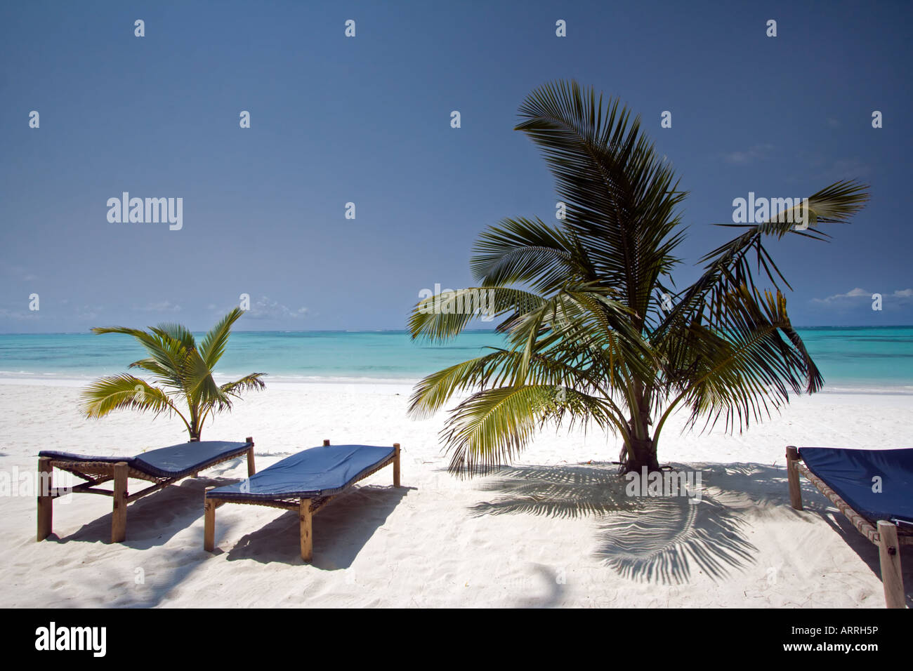 Pongwe island zanzibar hi-res stock photography and images - Alamy