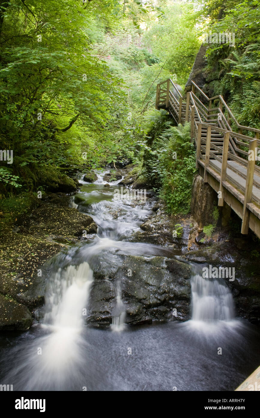 Glenariff forest and waterfalls Stock Photo - Alamy