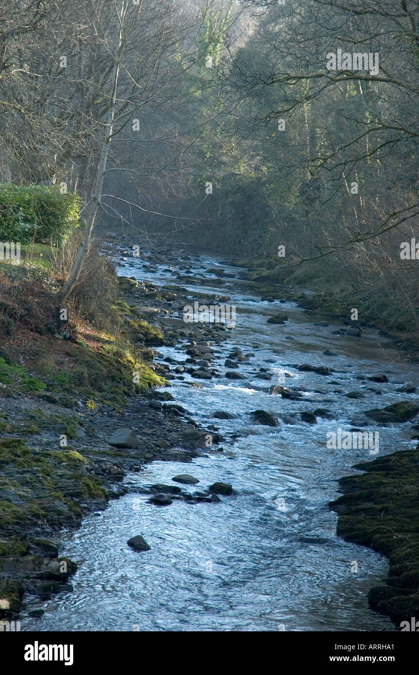 River Tavy Tavistock Devon England Stock Photo - Alamy