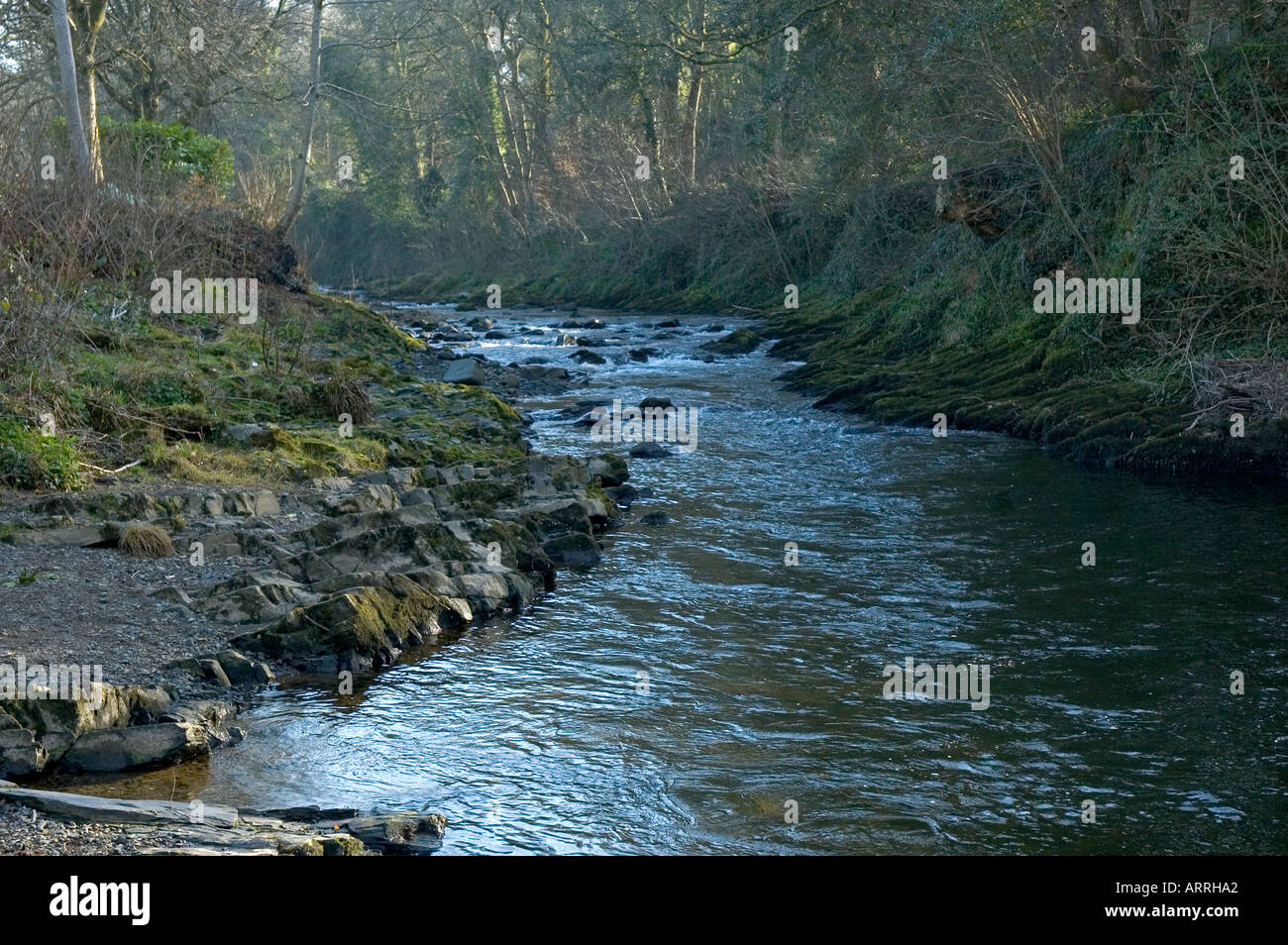 River Tavy Tavistock Devon England Stock Photo - Alamy