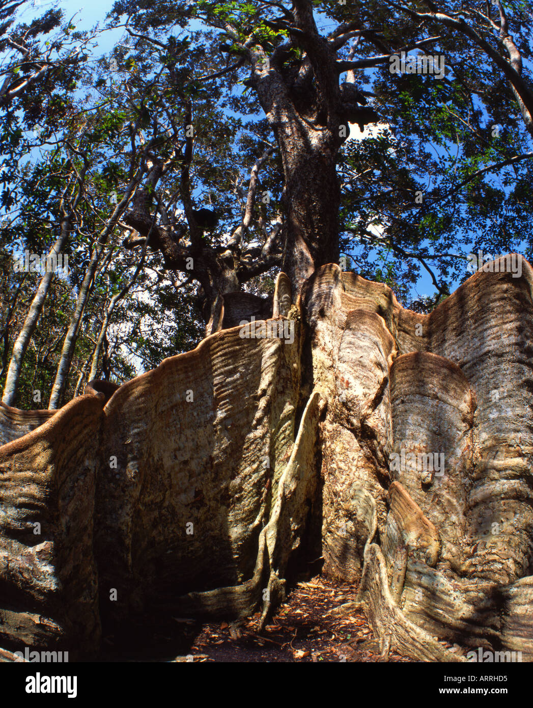 Sakishima hi-res stock photography and images - Alamy