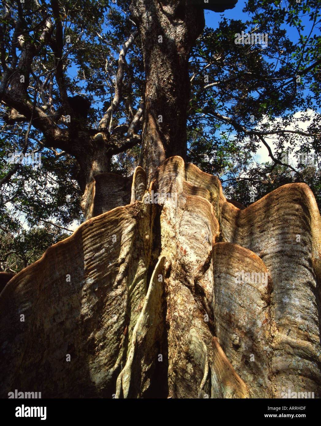 Sakishima hi-res stock photography and images - Alamy