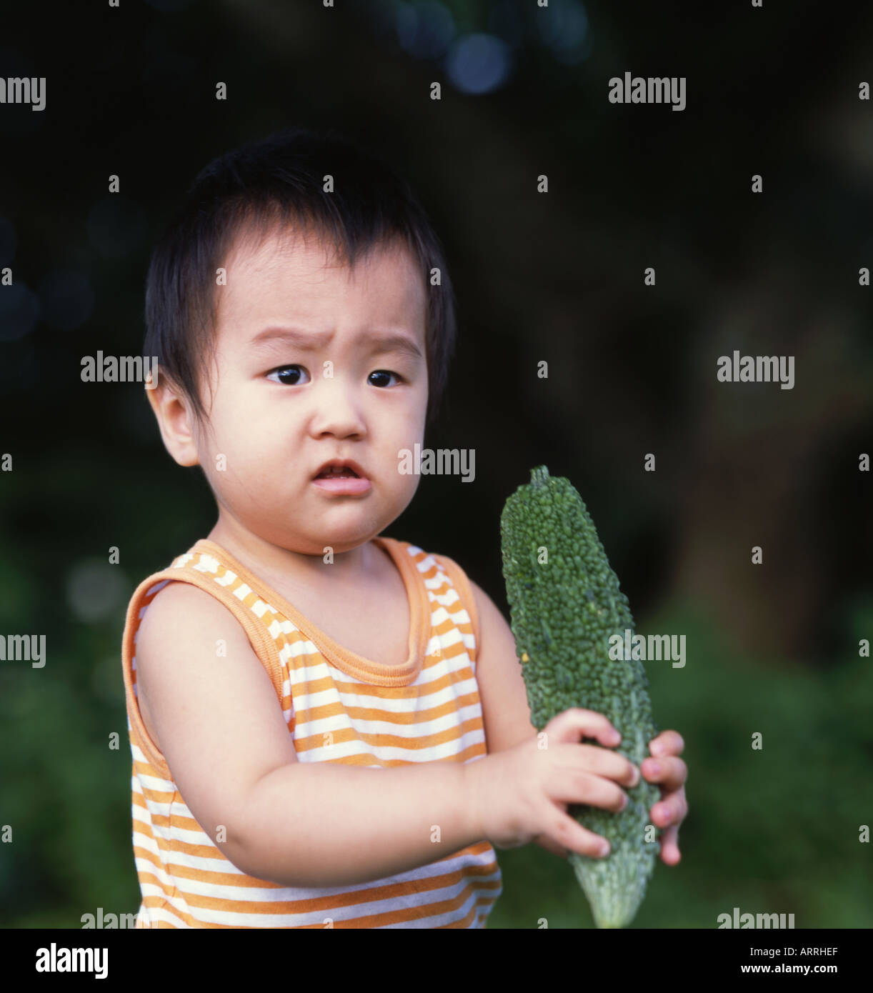 Okinawan baby playing with goya - bitter melon. Goya is thought to help ...