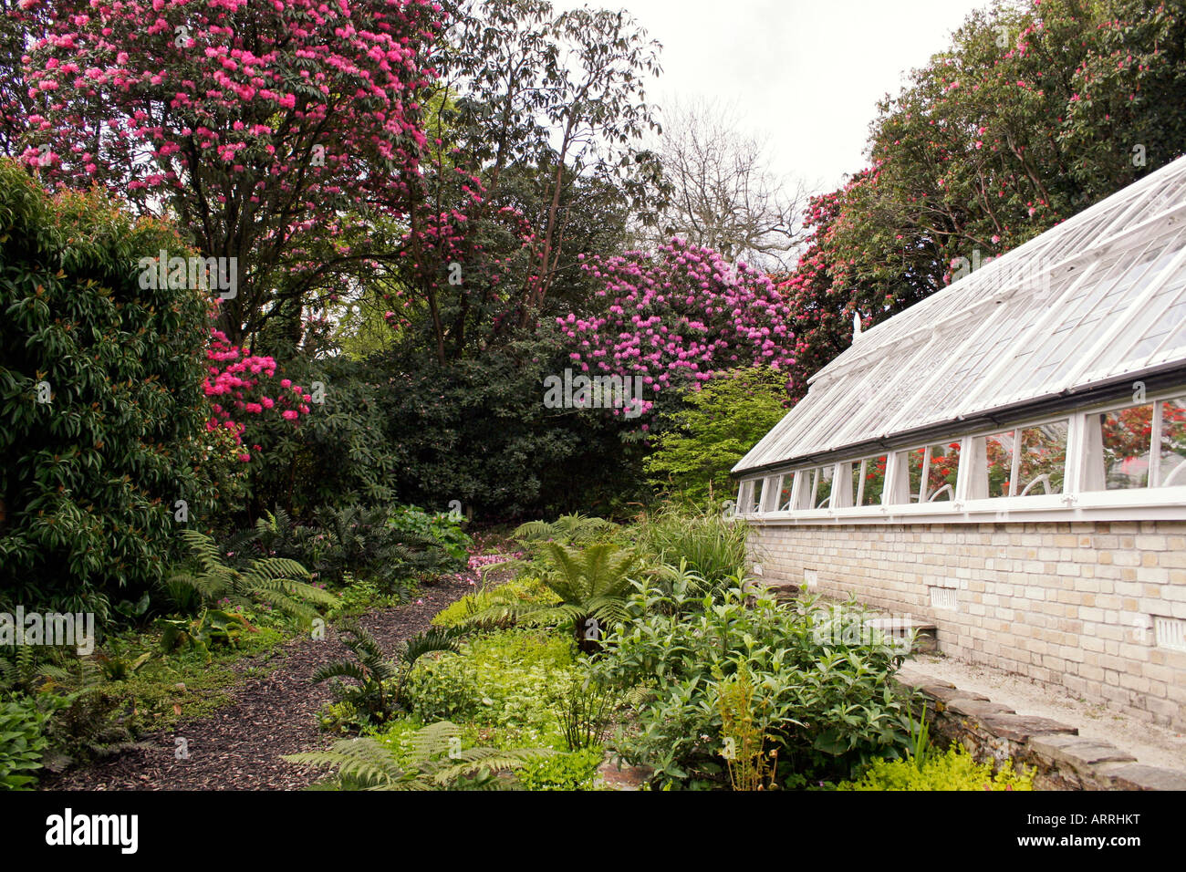 Heligan house lost gardens heligan hi-res stock photography and images ...