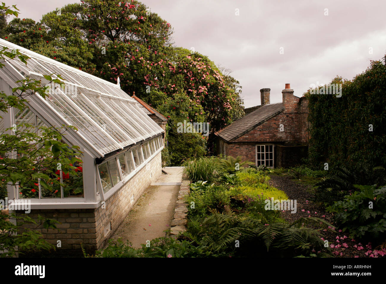 Glass house lost gardens heligan hi-res stock photography and images ...