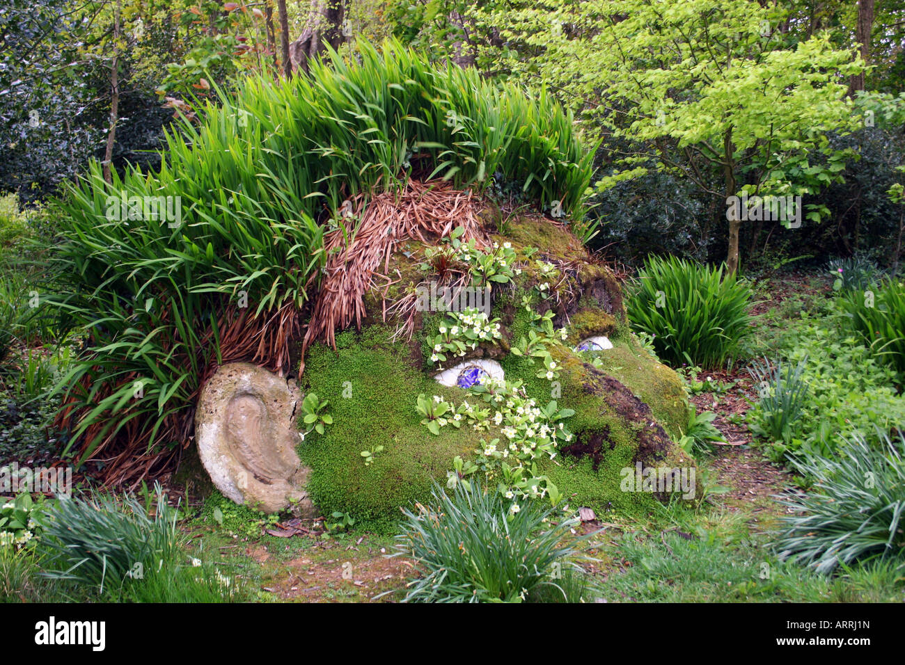 THE GIANT'S HEAD MUD SCULPTURE IN THE LOST GARDENS OF HELIGAN. CORNWALL ...