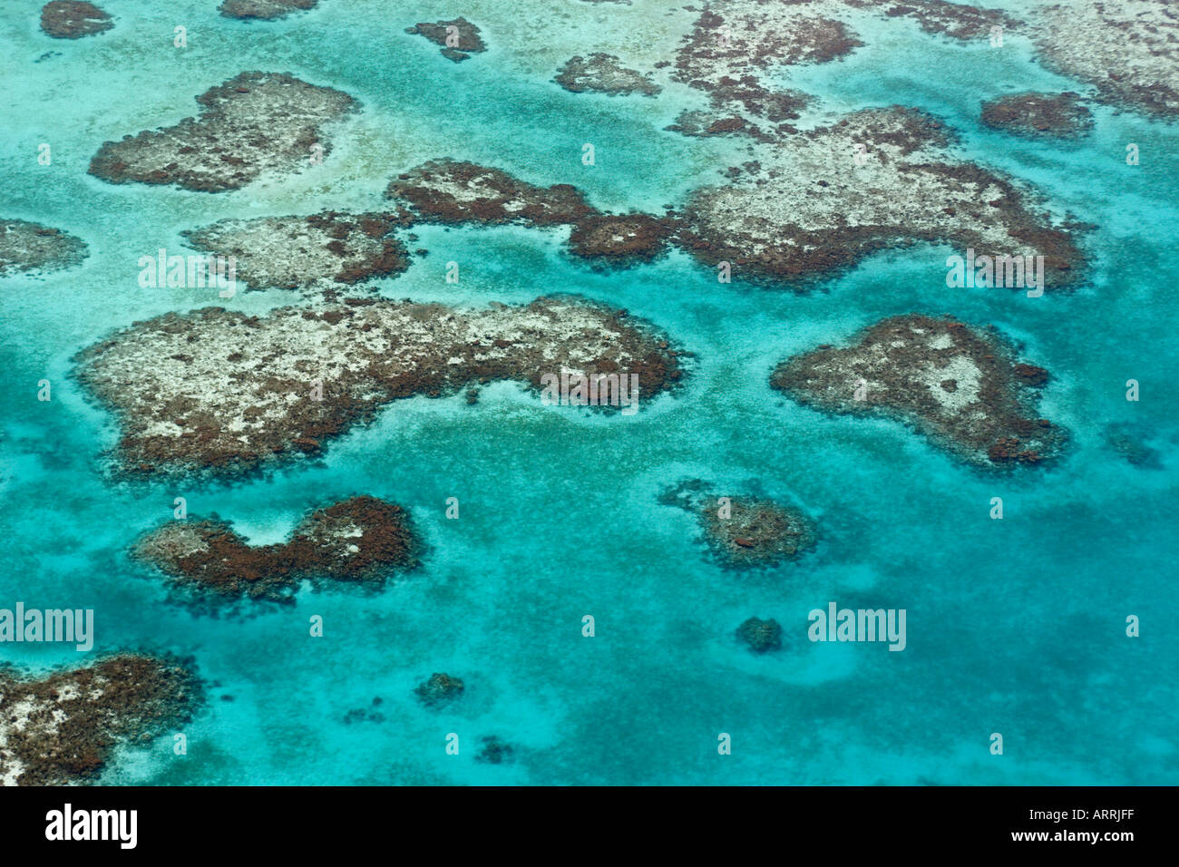 Coral bommies hi-res stock photography and images - Alamy