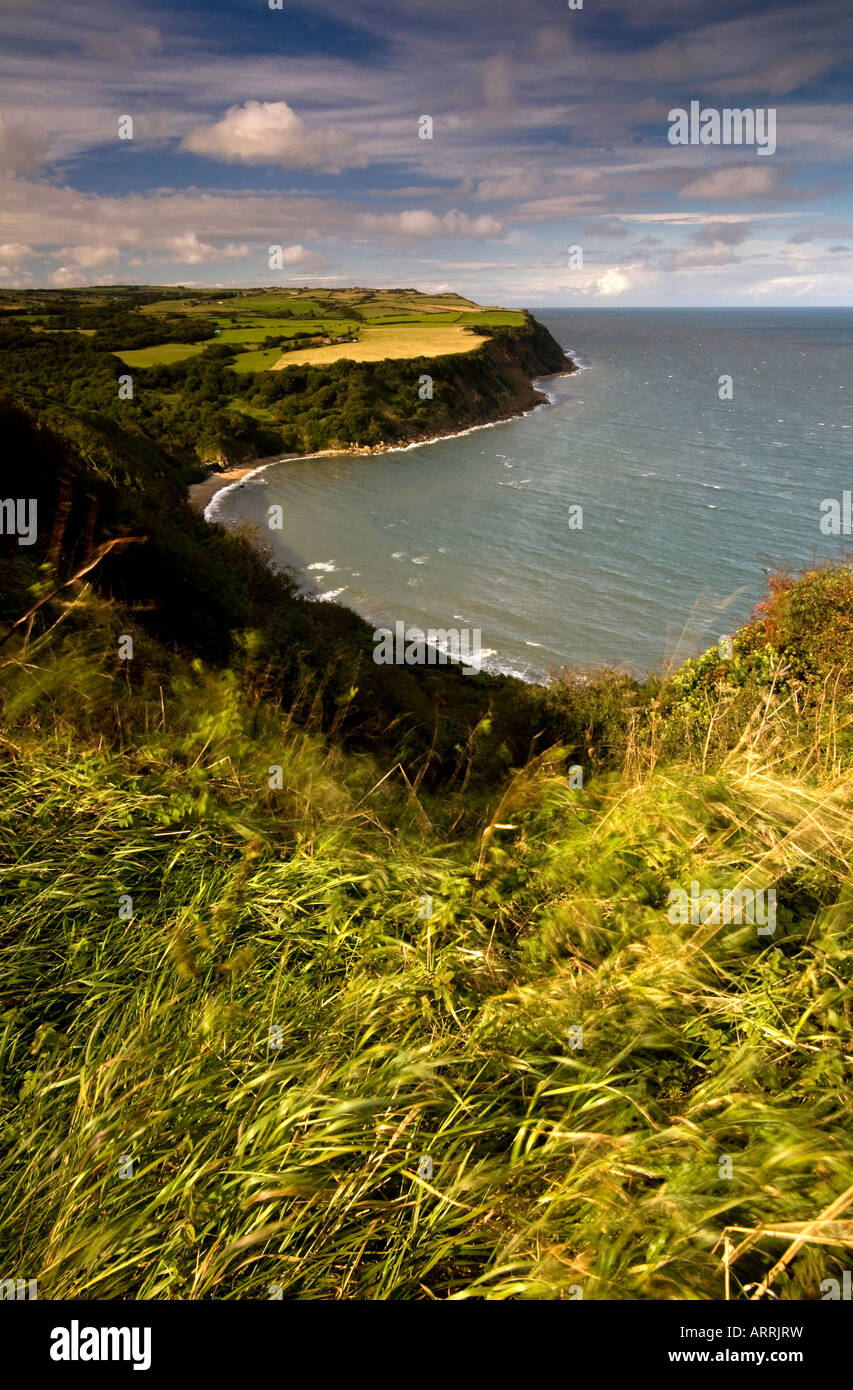 Hayburn wyke beach hi-res stock photography and images - Alamy