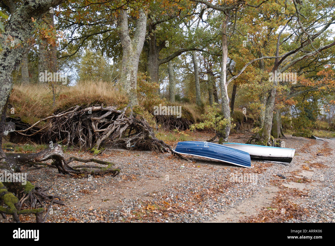 BEACHED ROWING BOATS Stock Photo - Alamy