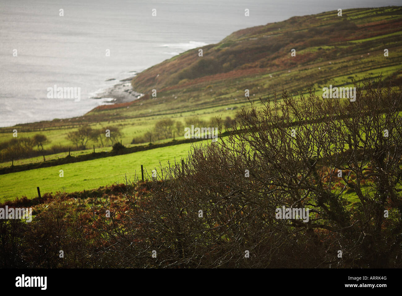 Slieve League Cliffs near Malin Beg and Glencolmkille, County Donegal ...