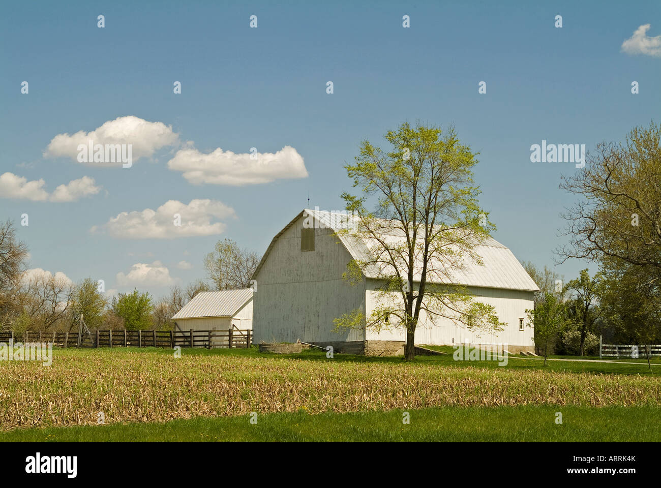 Beautiful Americana landscape of white barn in field with trees and ...