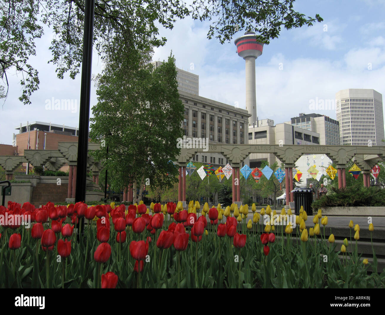 Calgary tower observation deck hi-res stock photography and images - Alamy