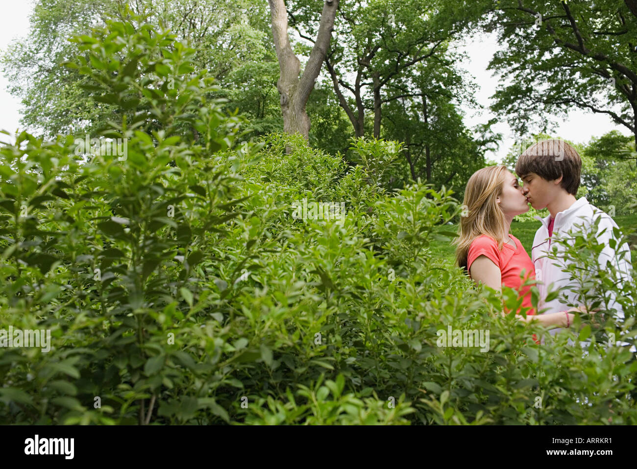 Behind the bush hi-res stock photography and images - Alamy