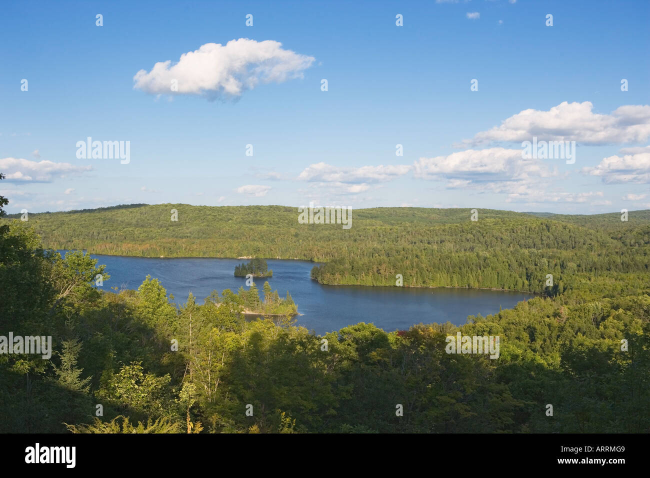 Unexploited nature hi-res stock photography and images - Alamy