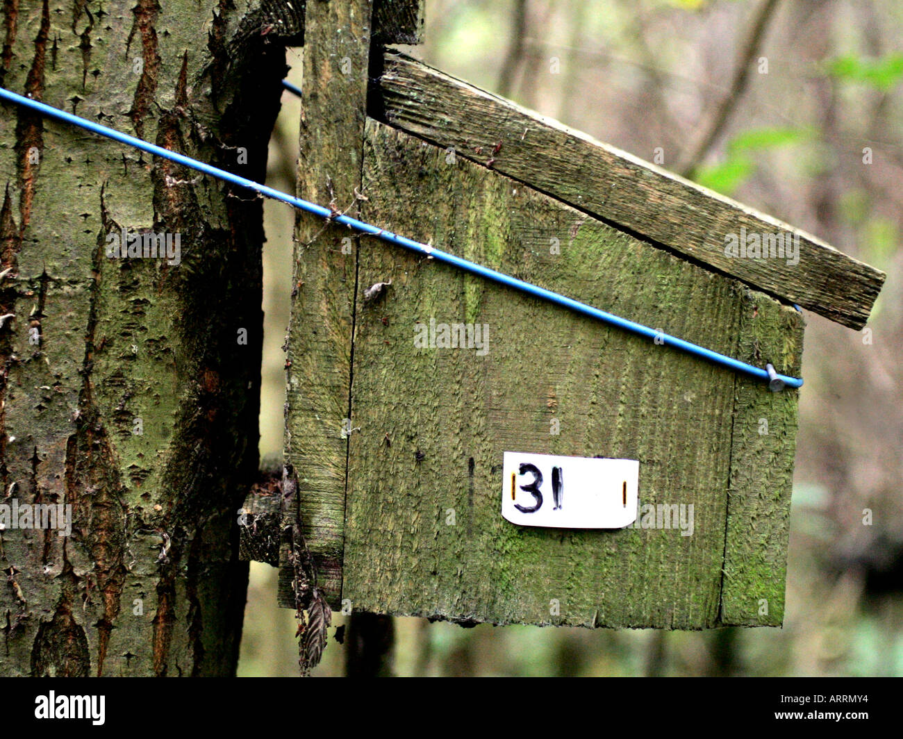 Doormouse box hi-res stock photography and images - Alamy