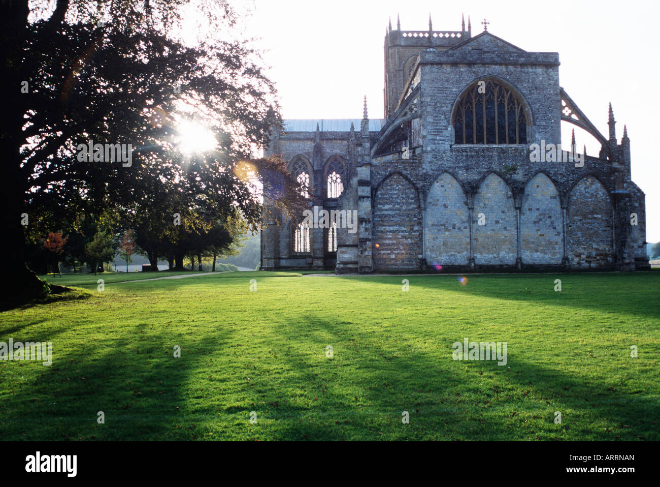 Milton Abbey, Dorset Stock Photo - Alamy