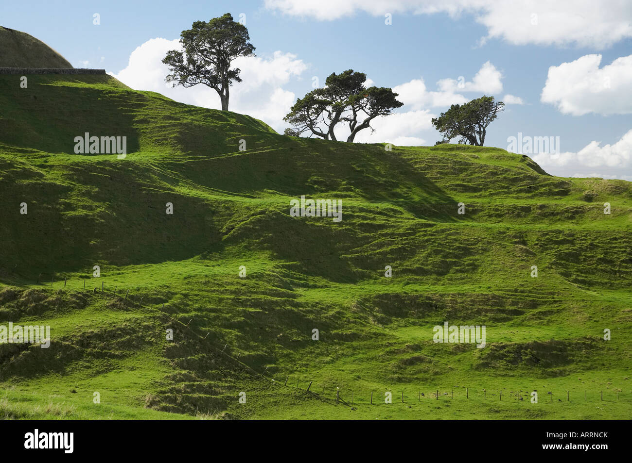One Tree Hill Domain Auckland North Island New Zealand Stock Photo - Alamy