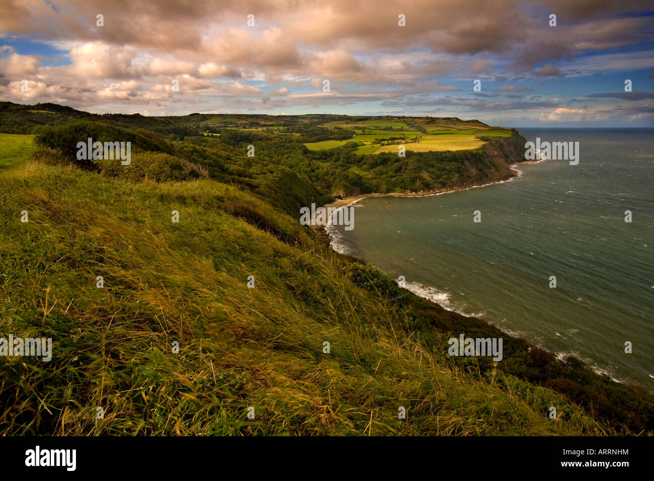 Hayburn Wyke Beach High Resolution Stock Photography and Images - Alamy