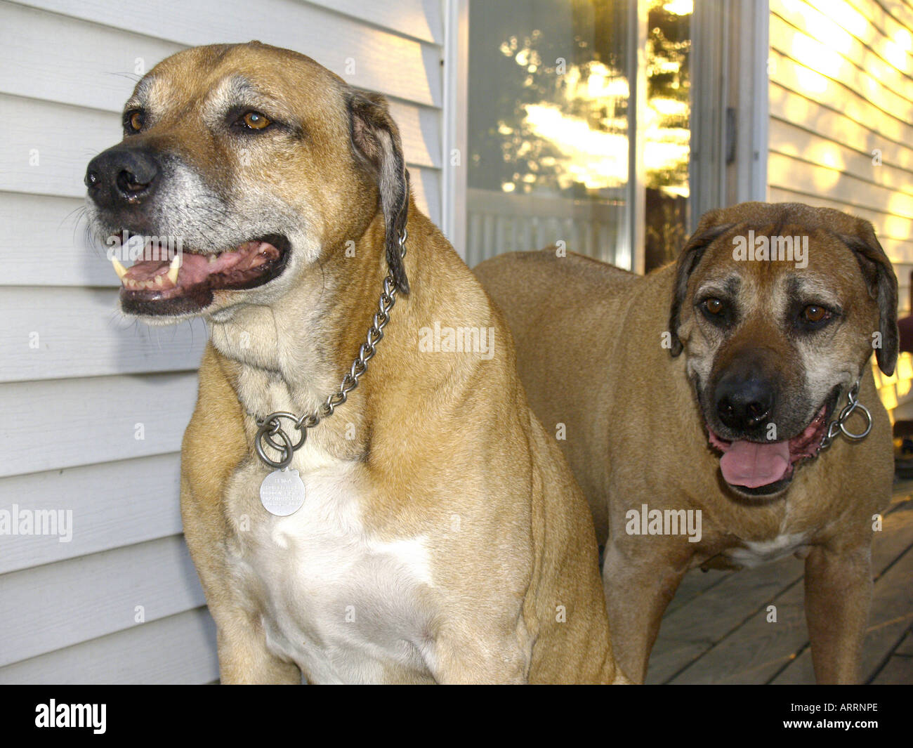 laura litterio real estate photography Stock Photo - Alamy