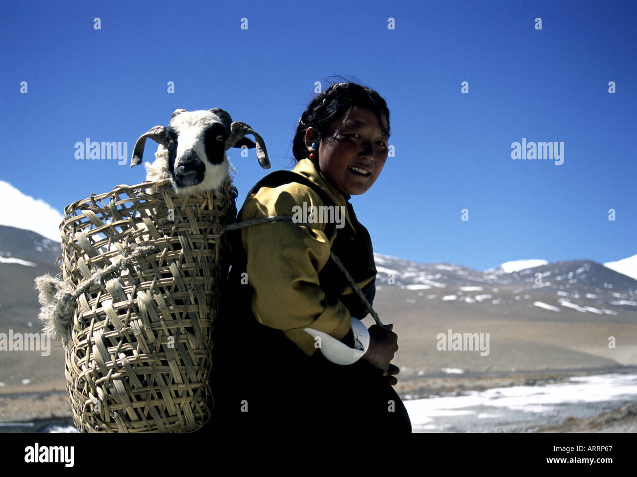 Carrying a goat hi-res stock photography and images - Alamy