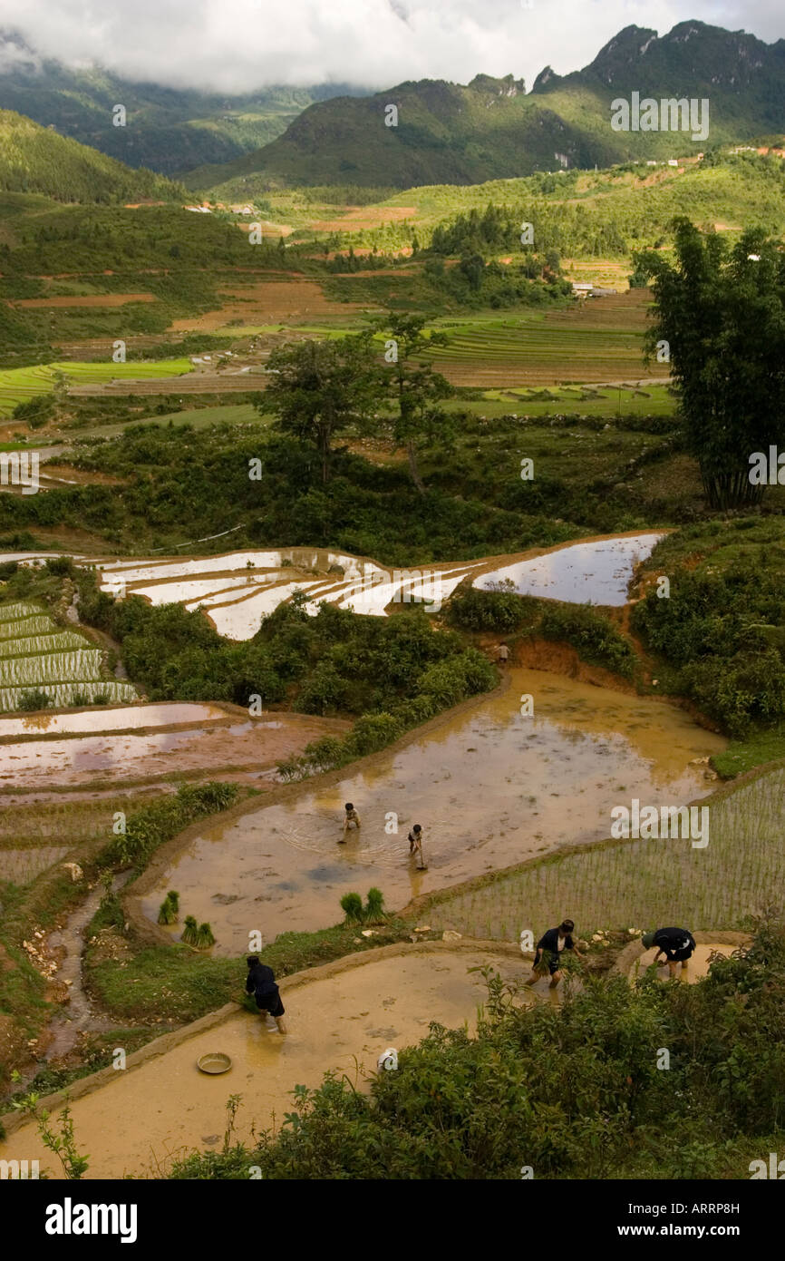 Rice patties and valley view near Sapa, northern Vietnam Stock Photo ...
