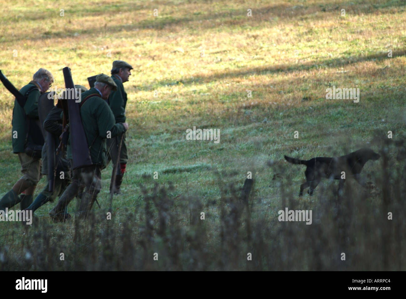 English shooting party hi-res stock photography and images - Alamy