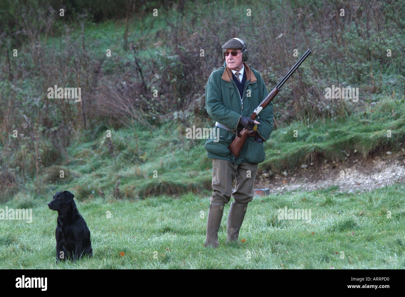 Hampshire southern England UK One man and his black Labrador Retriever ...