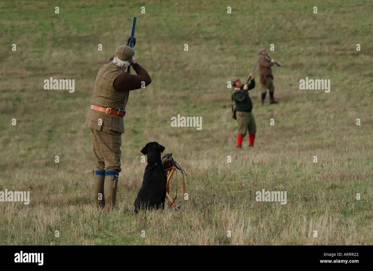 Syndicate management hi-res stock photography and images - Alamy