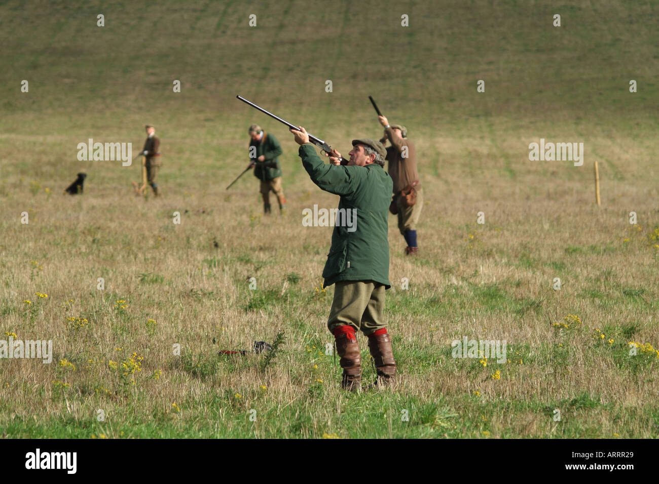 Shooting party take aim English countryside Stock Photo - Alamy
