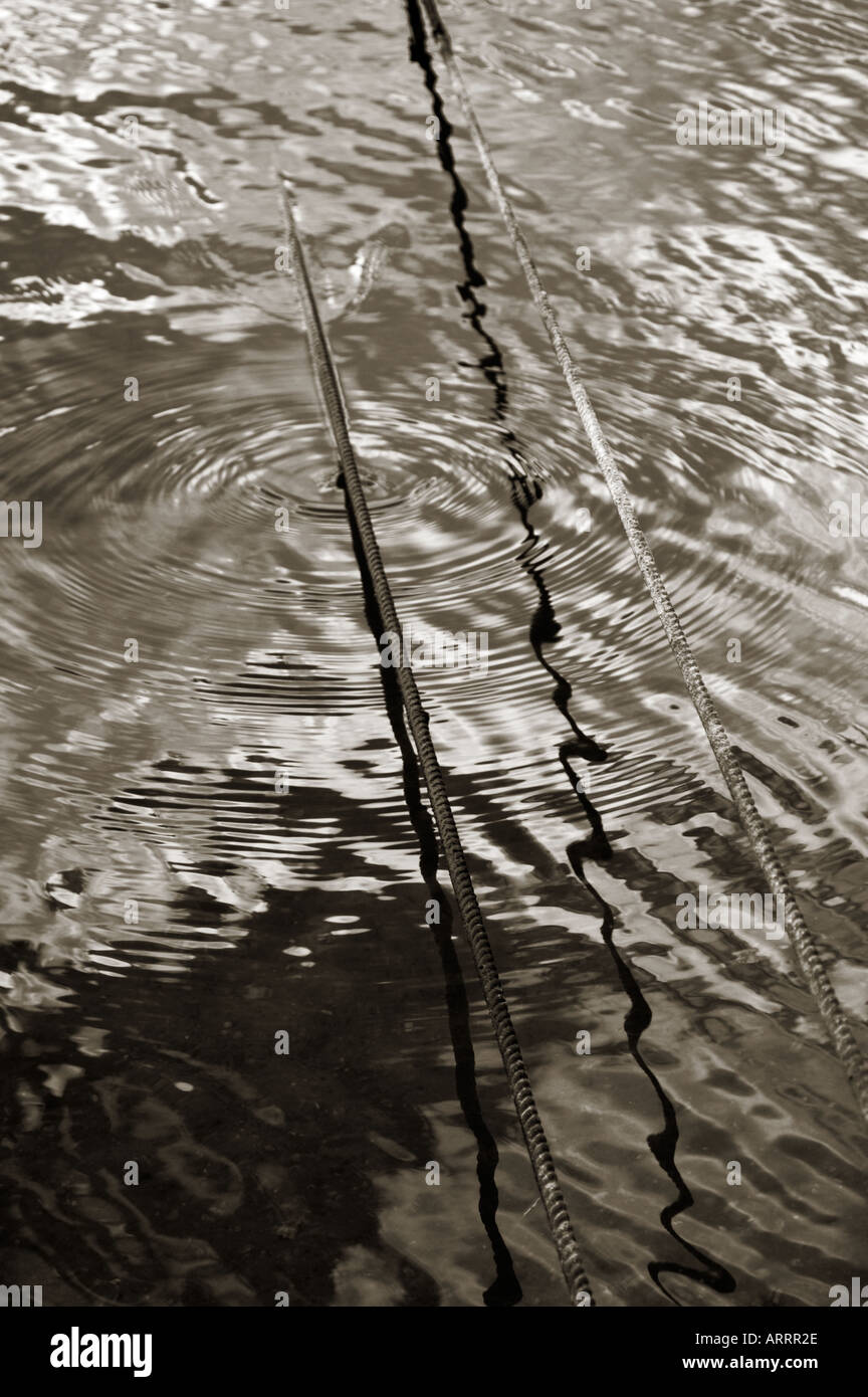 Close up of tow line and sky reflection in water Stock Photo - Alamy