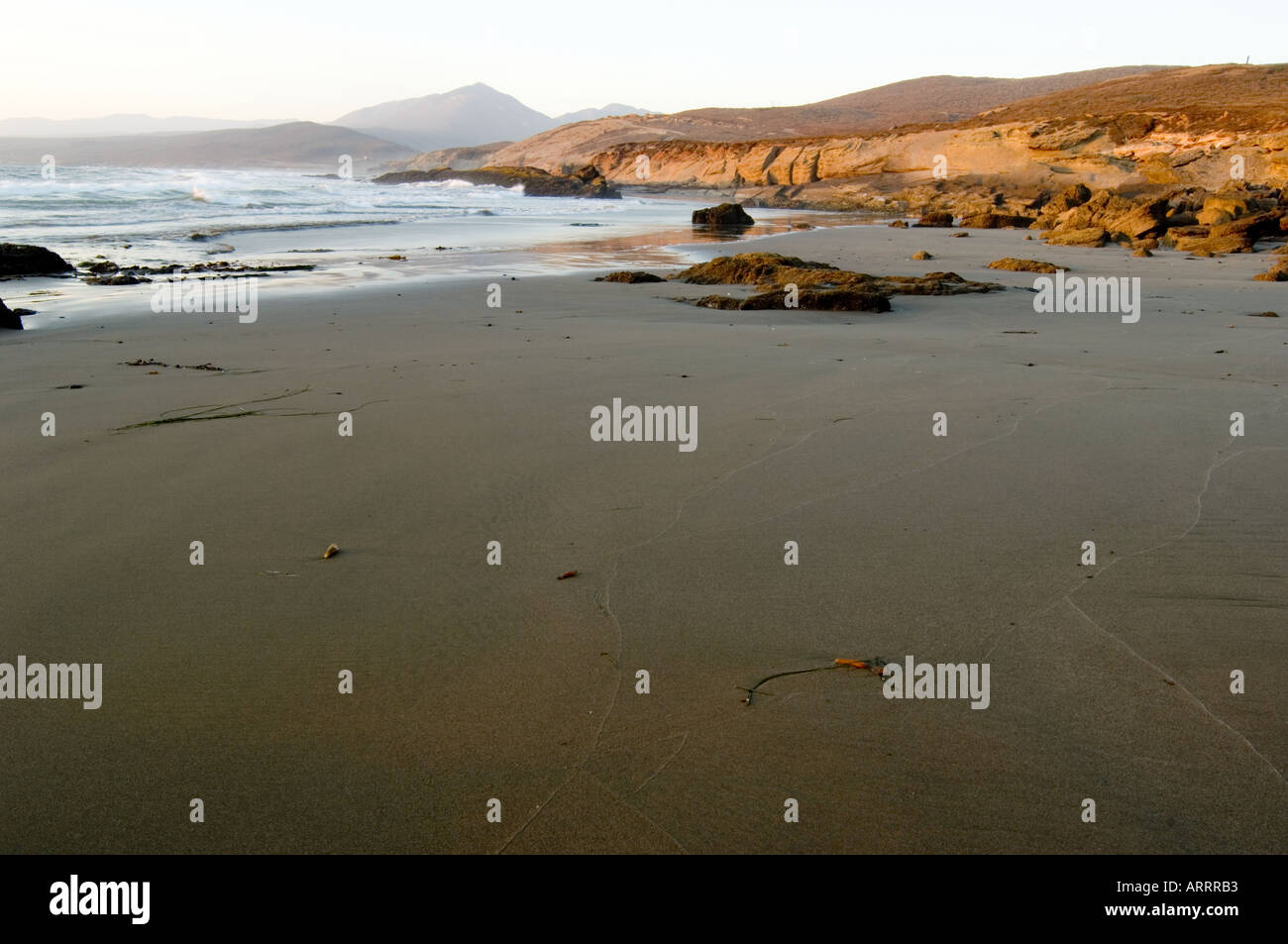 Wide Open beach in Baja Stock Photo - Alamy