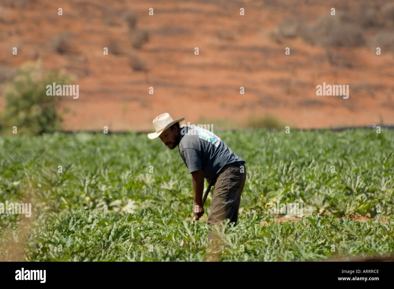 Mexican farm hi-res stock photography and images - Alamy