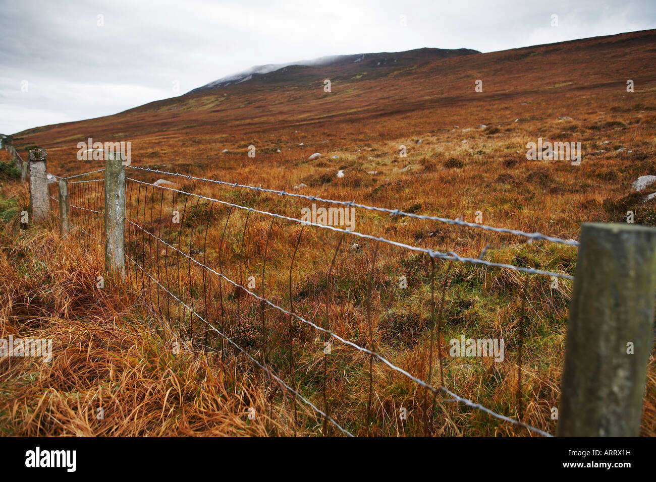 Coastal farm landscape county donegal ireland hi-res stock photography ...