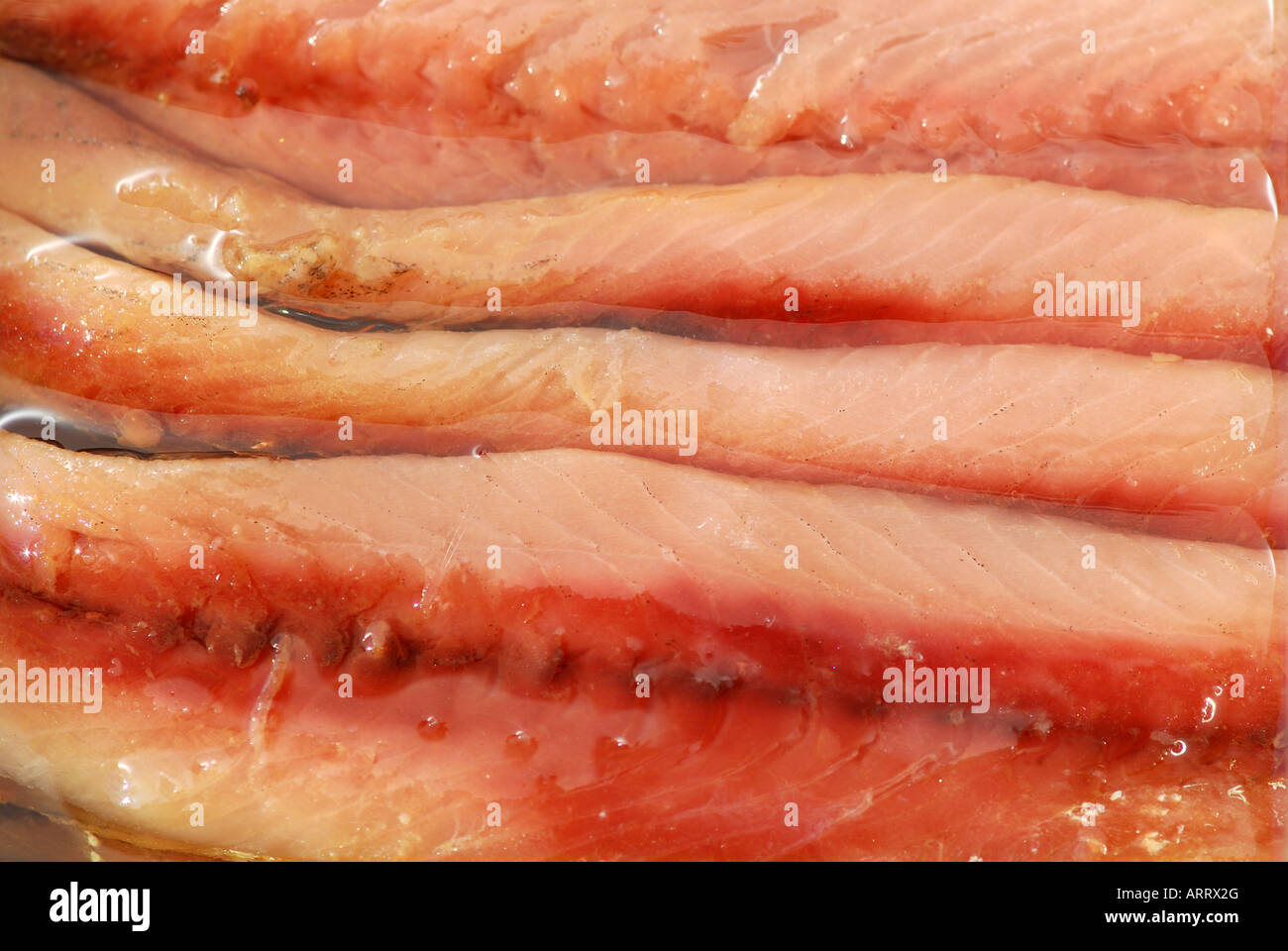 Anchovy fillets macro Stock Photo - Alamy