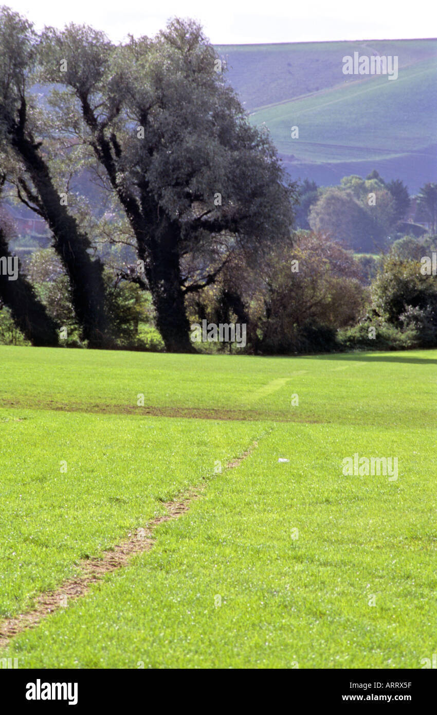 Rugby field wet hi-res stock photography and images - Alamy