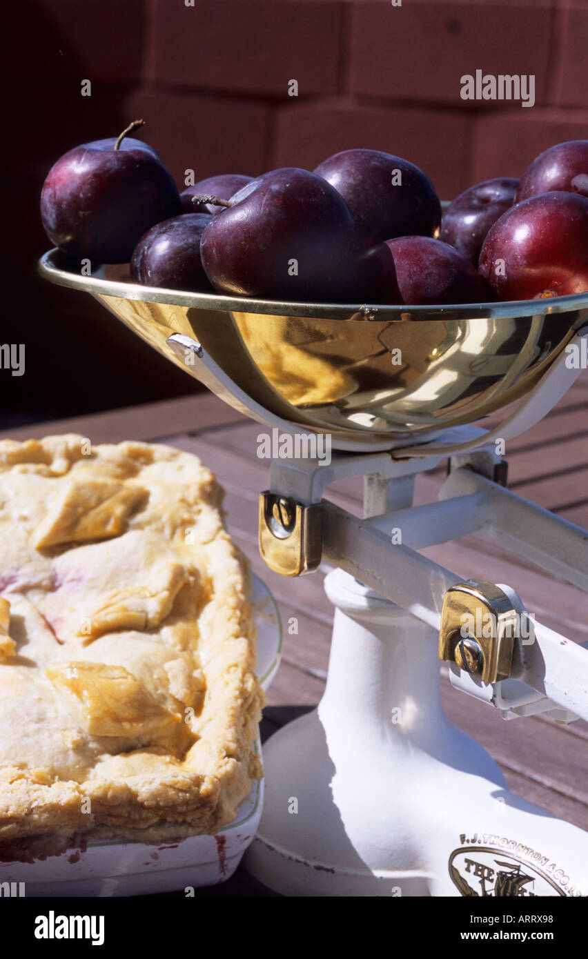 Desert plums hi-res stock photography and images - Alamy