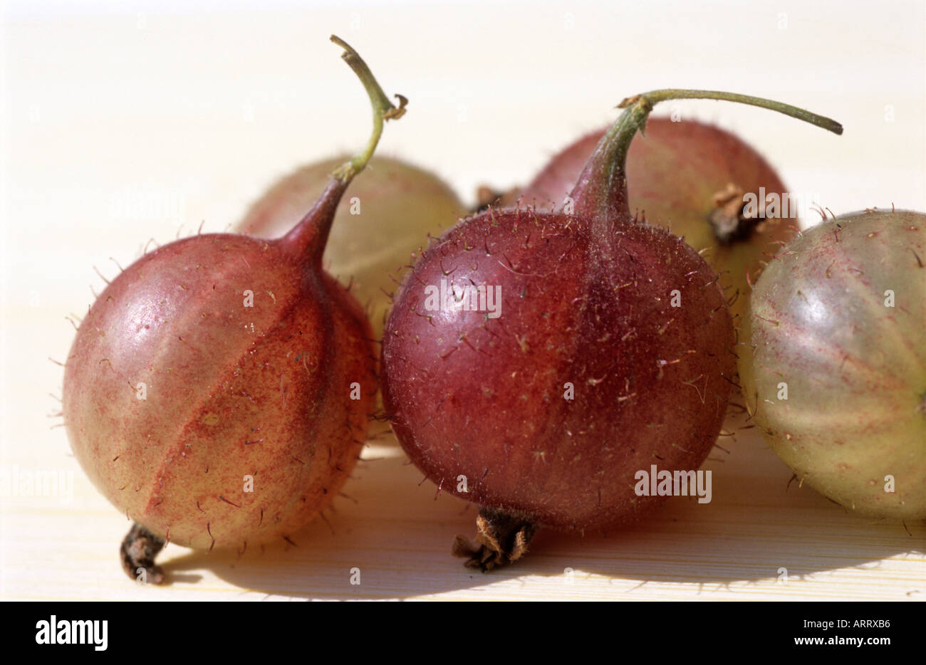 Dessert Gooseberry edible green yellow fruit Stock Photo - Alamy