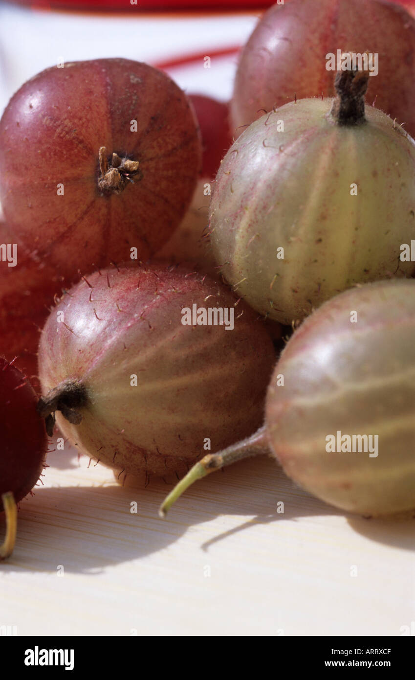 Still life Dessert Gooseberry Stock Photo - Alamy