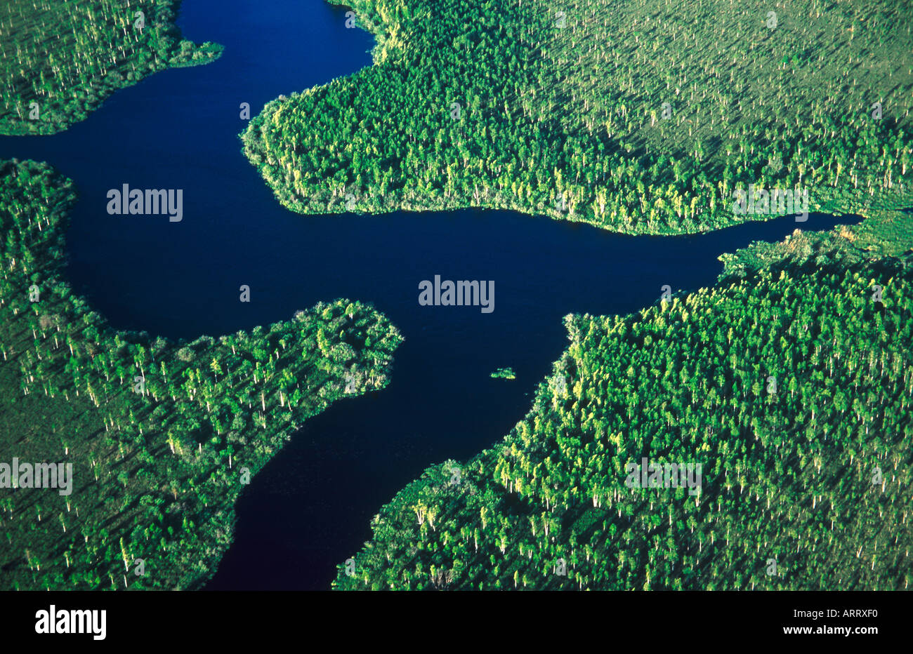 Aerial view of the Ahja river Stock Photo - Alamy