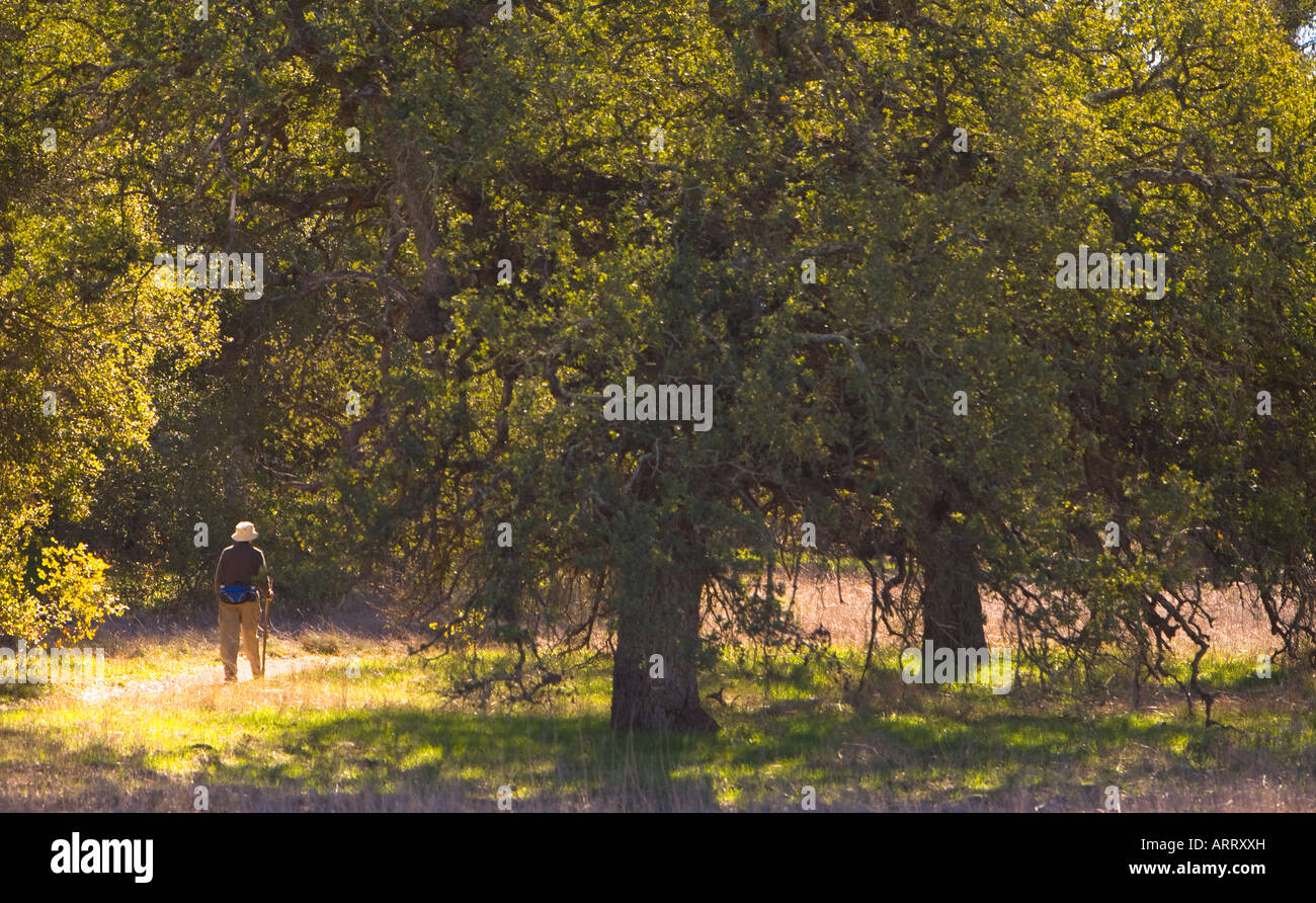 Hiker Hiking In The Santa Rosa Plateau Ecological Reserve Murietta ...