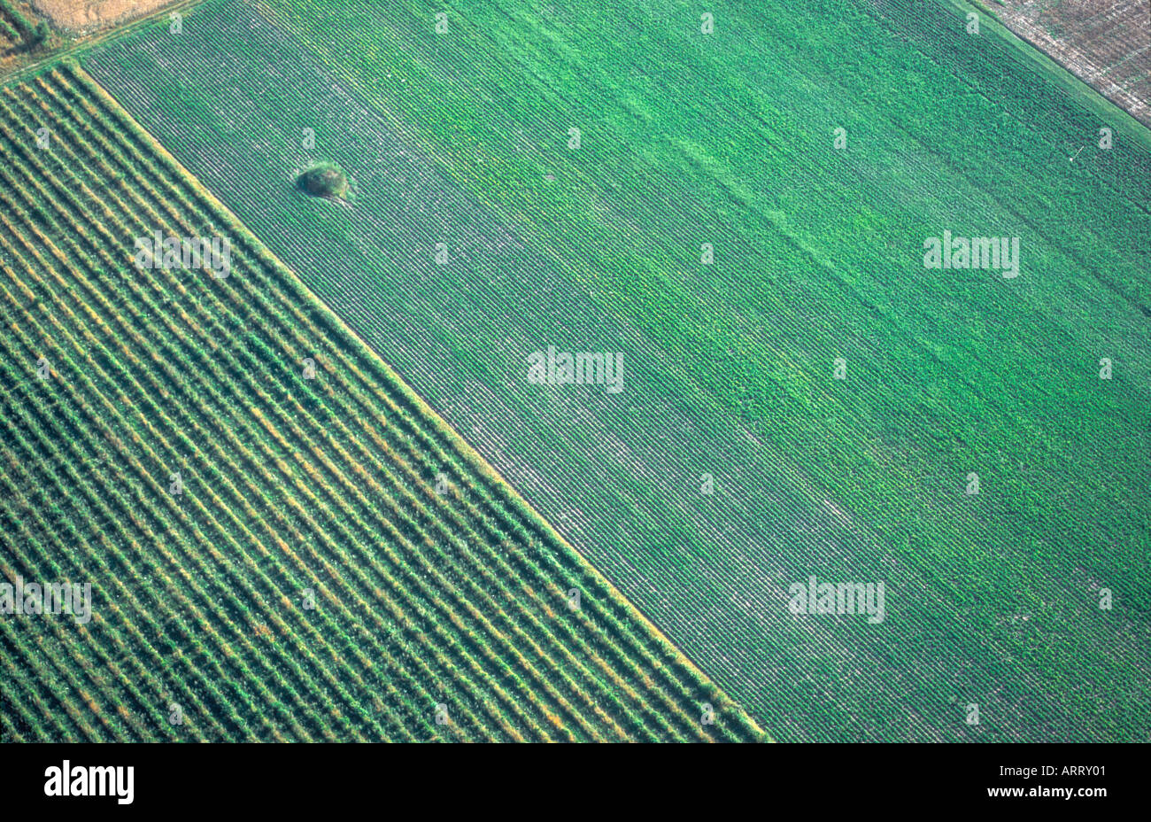 Aerial view of a field Stock Photo - Alamy