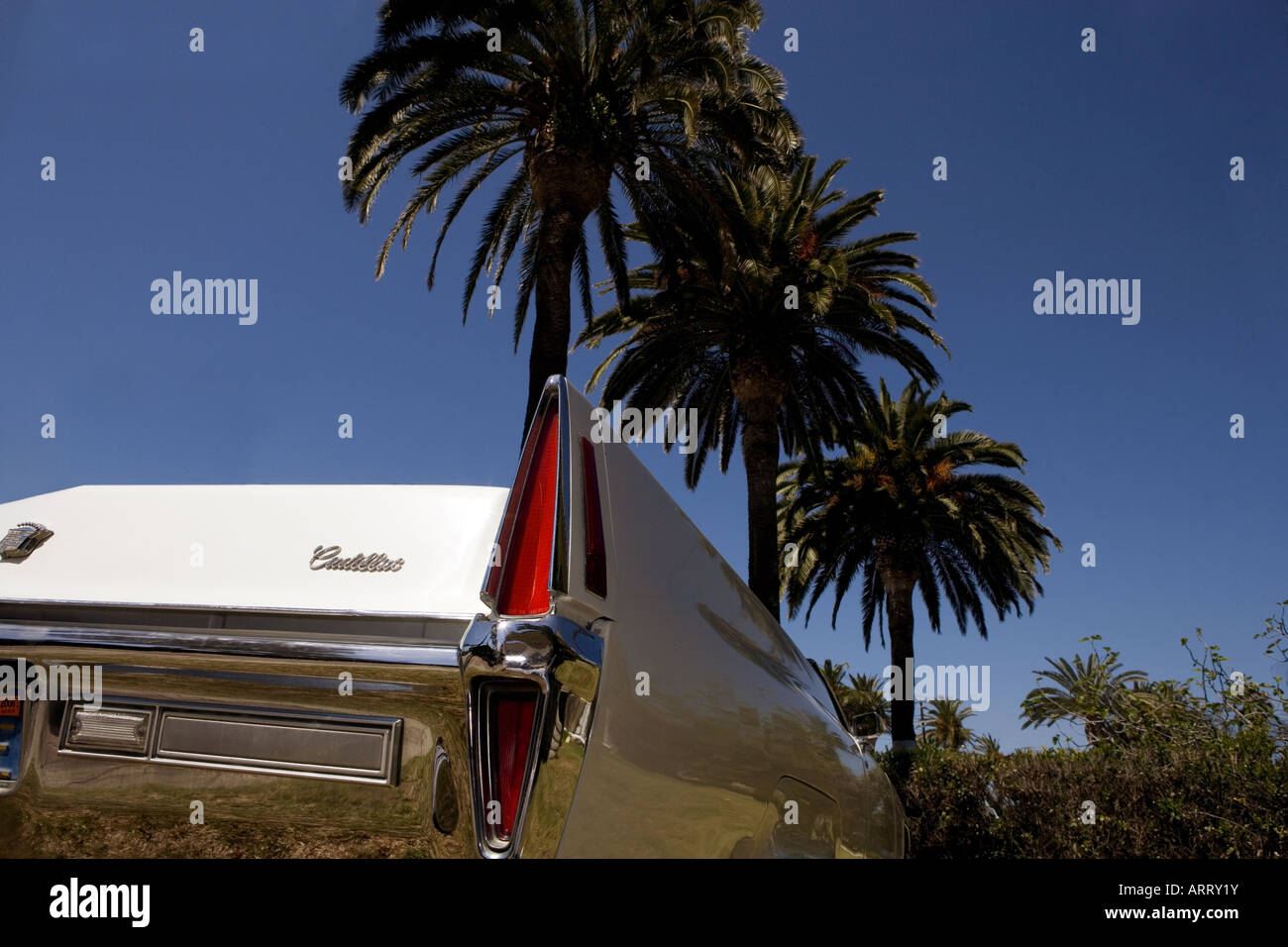 Rear view of 1969 Cadillac DeVille Stock Photo - Alamy