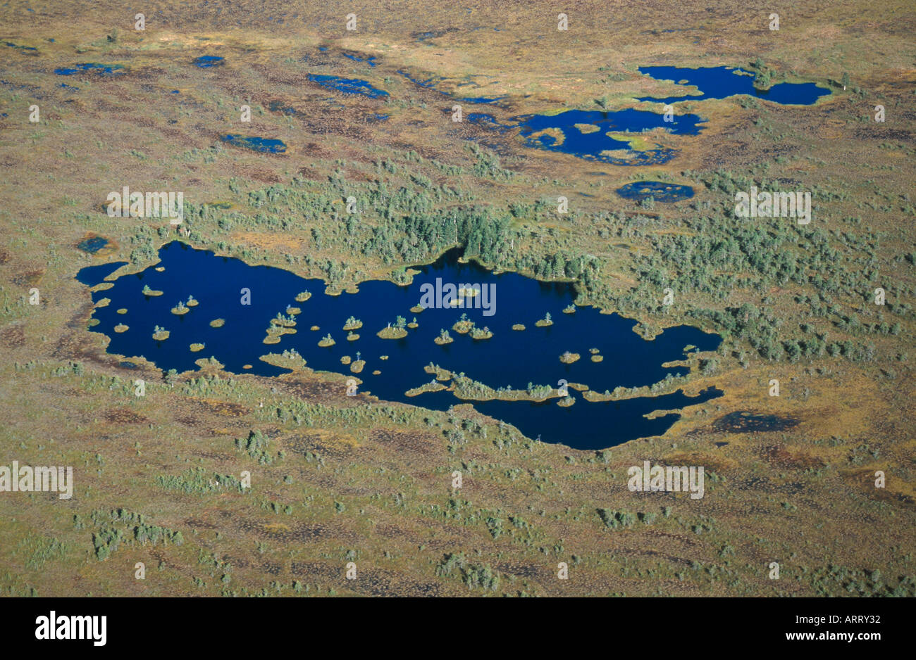 Aerial view of the Muraka bog Stock Photo - Alamy