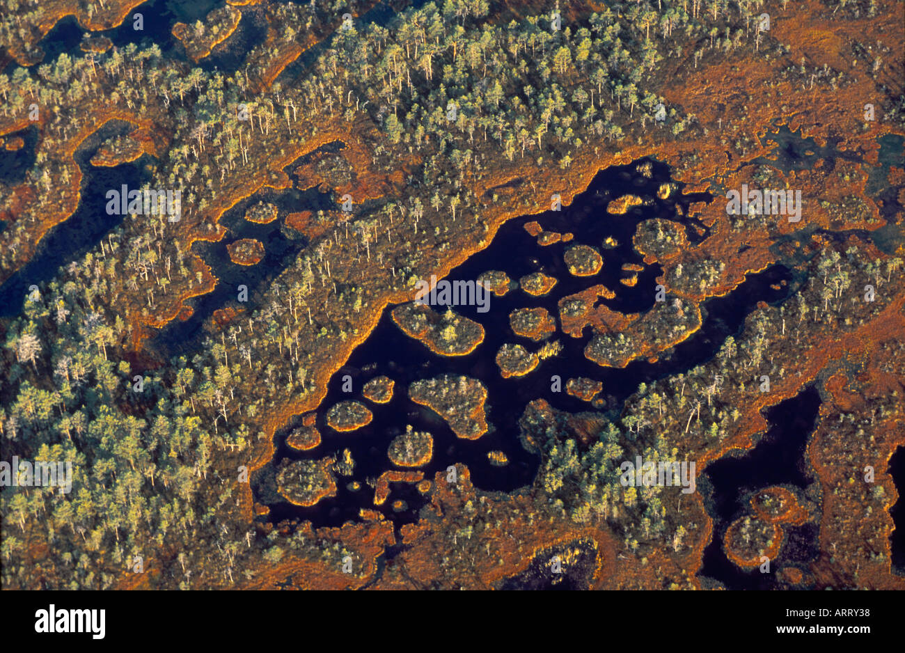 Aerial view of the bog Stock Photo - Alamy
