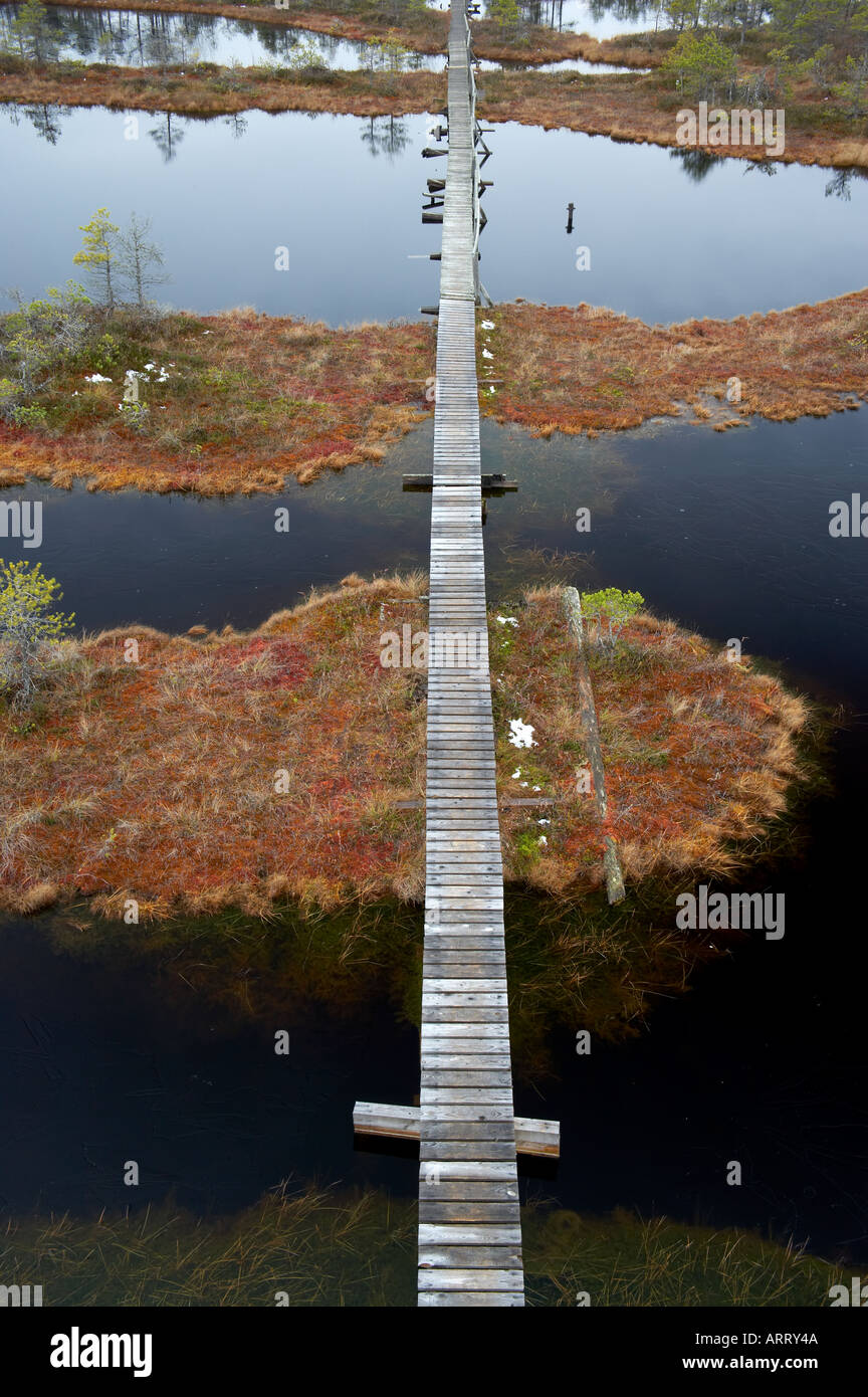 Bog walk estonia hi-res stock photography and images - Alamy