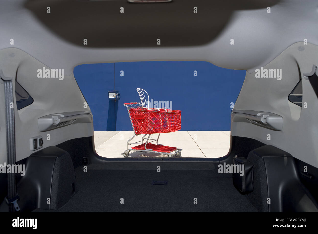 View of shopping cart through trunk Stock Photo - Alamy