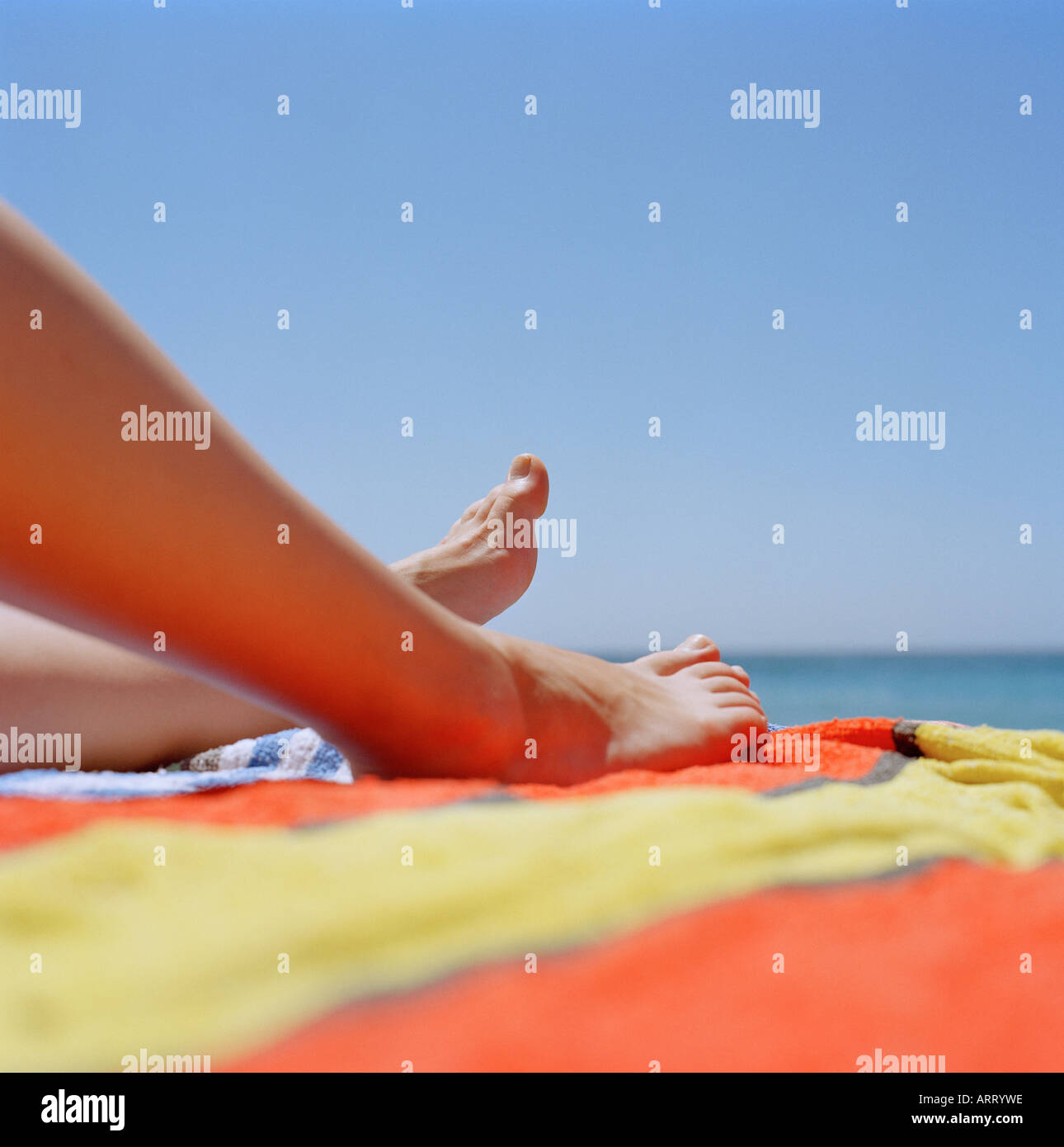 Legs of woman sunbathing Stock Photo - Alamy